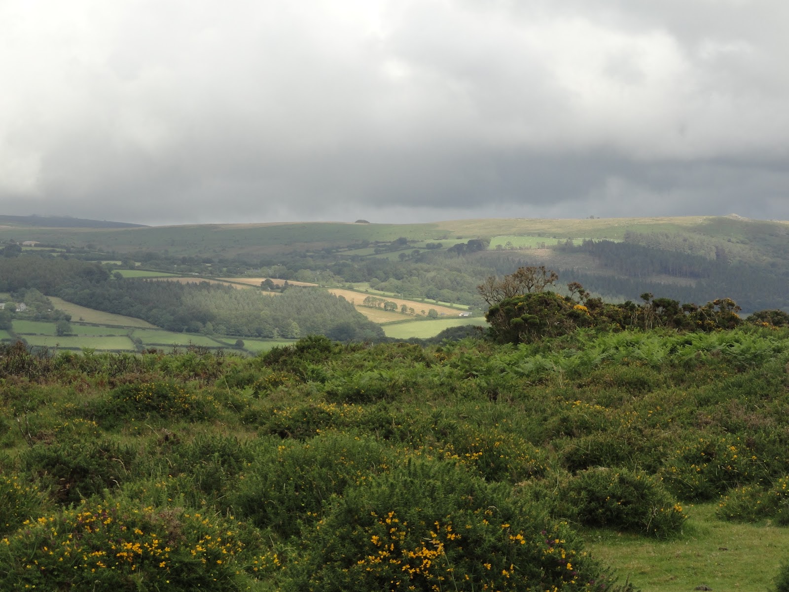 Kiwi abroad...: Tavistock #5: On the moor...