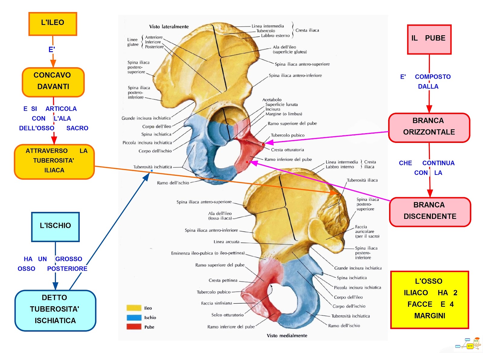 MAPPER: febbraio 2012
