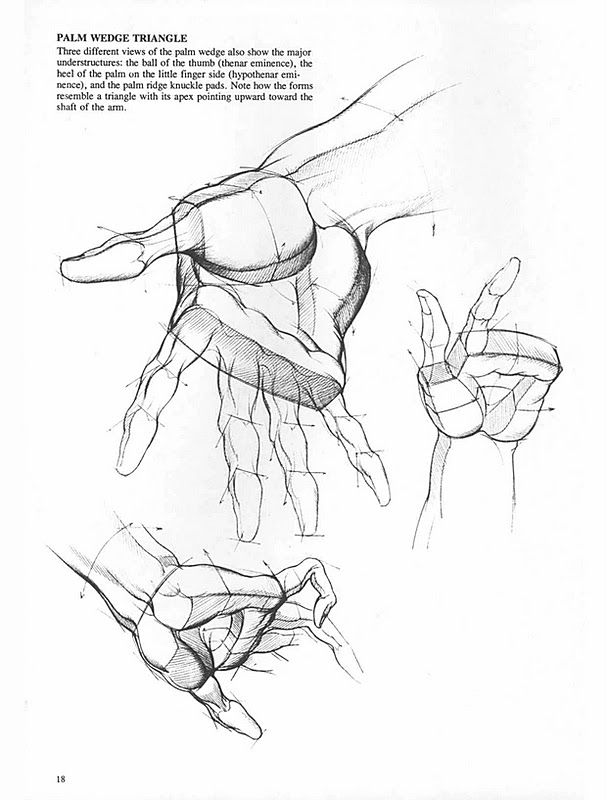 Anatomie Artistica BURNE HOGARTH & Gheorghe Ghitescu: BURNE HOGARTH ...