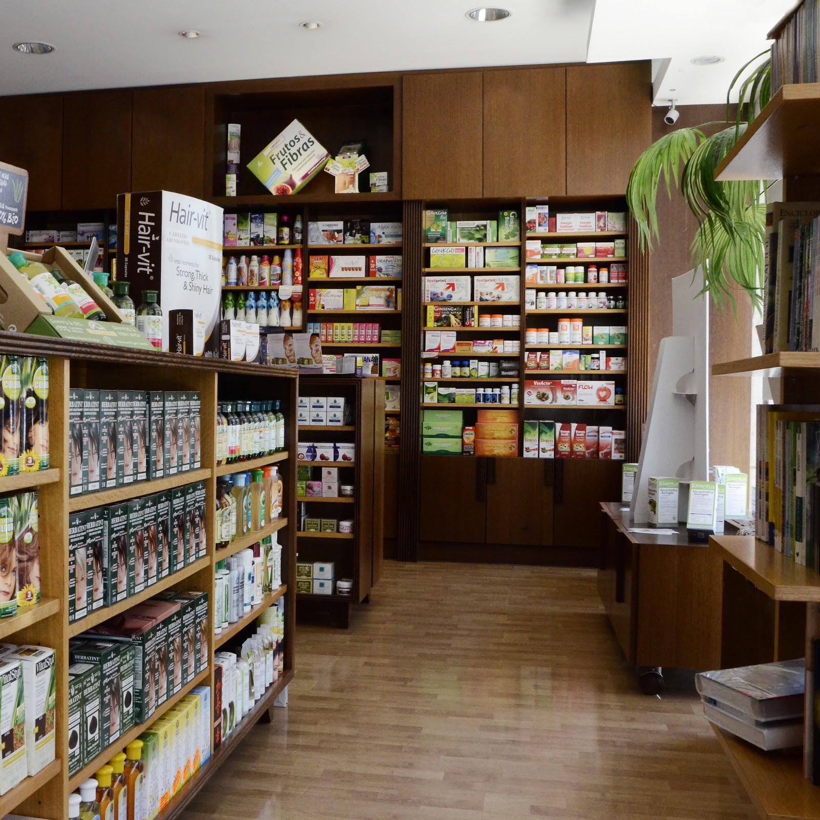 Ervanária S. João de Brito: A Ervanária São João de Brito