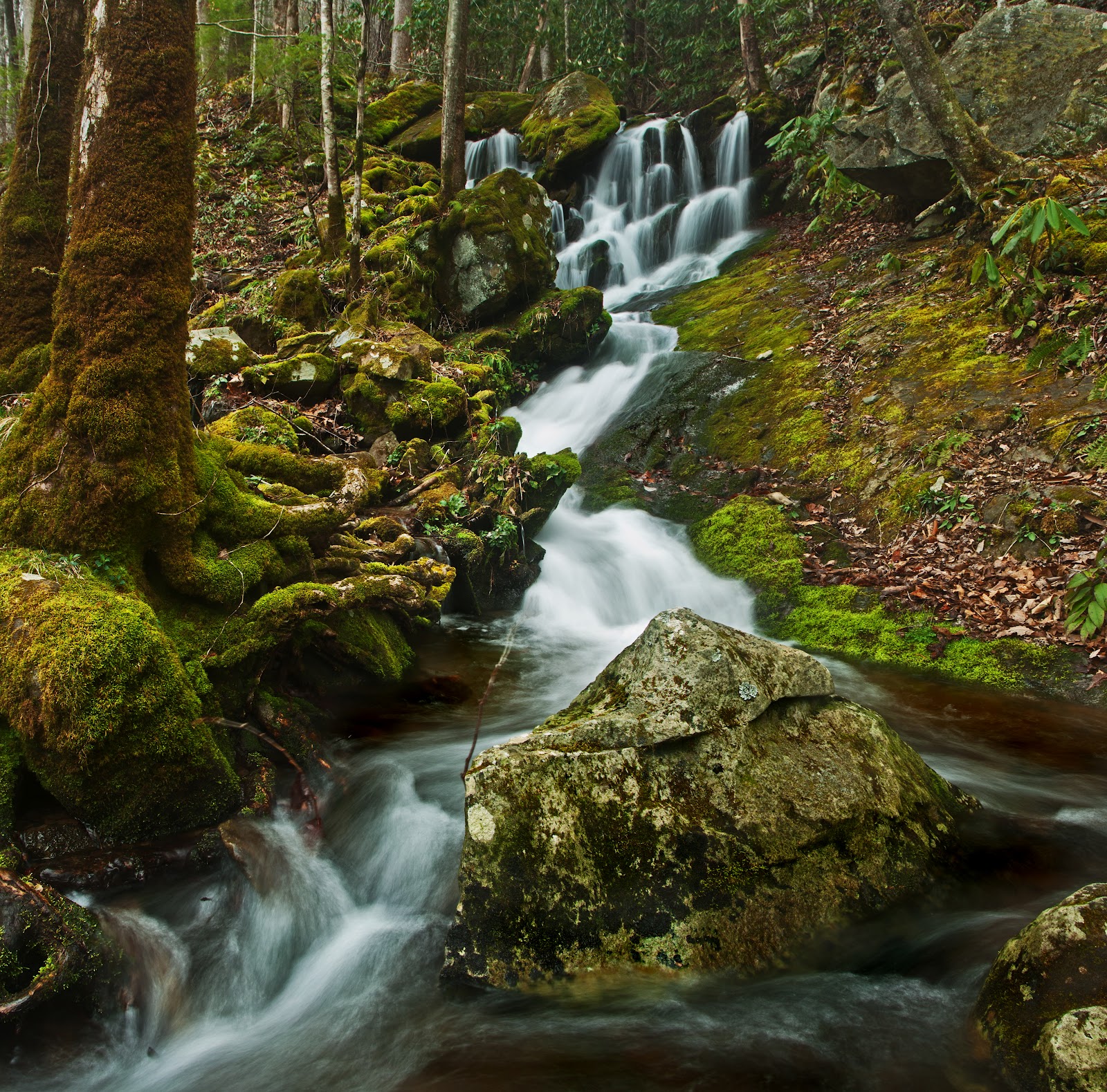 Denham Photography: SPRING WATERFALL