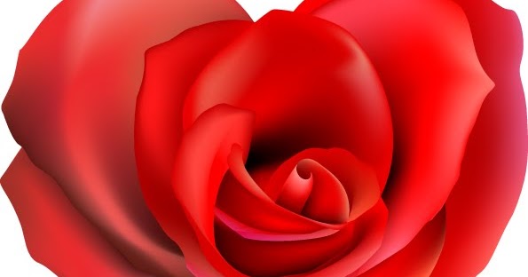 TEXTOS DE ROSA ESTORACH: ROSA ENCARNADA