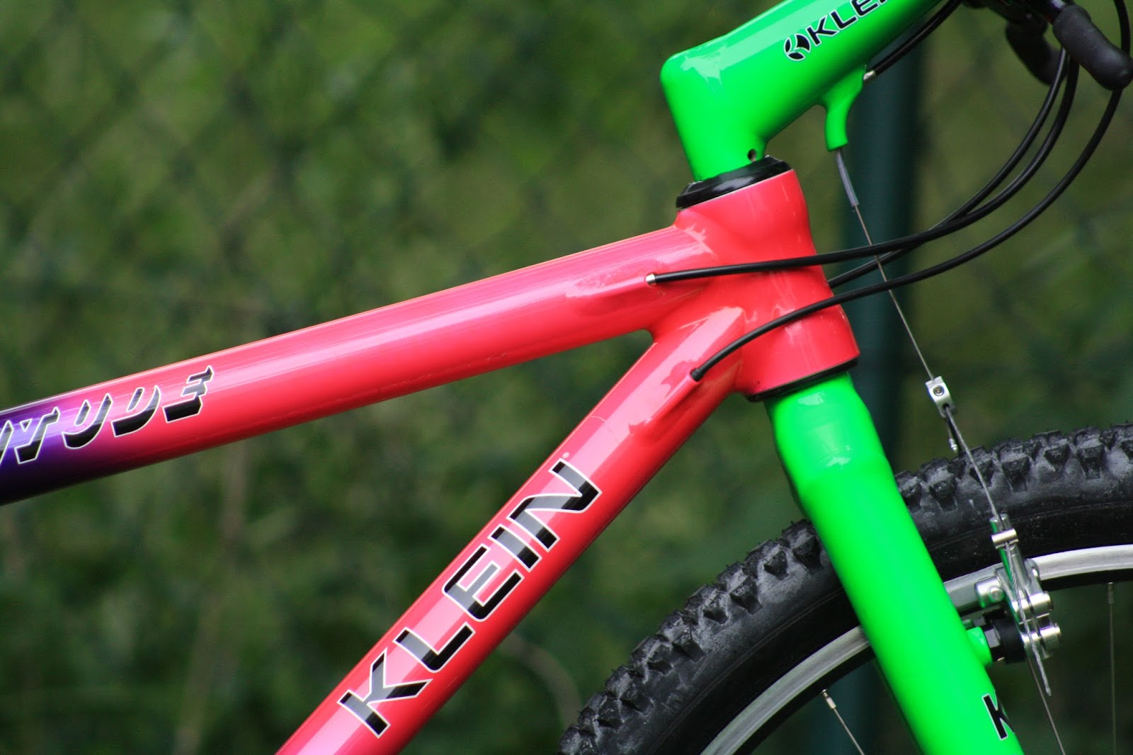 kleinfreundeweimar: Klein Attitude Team Storck