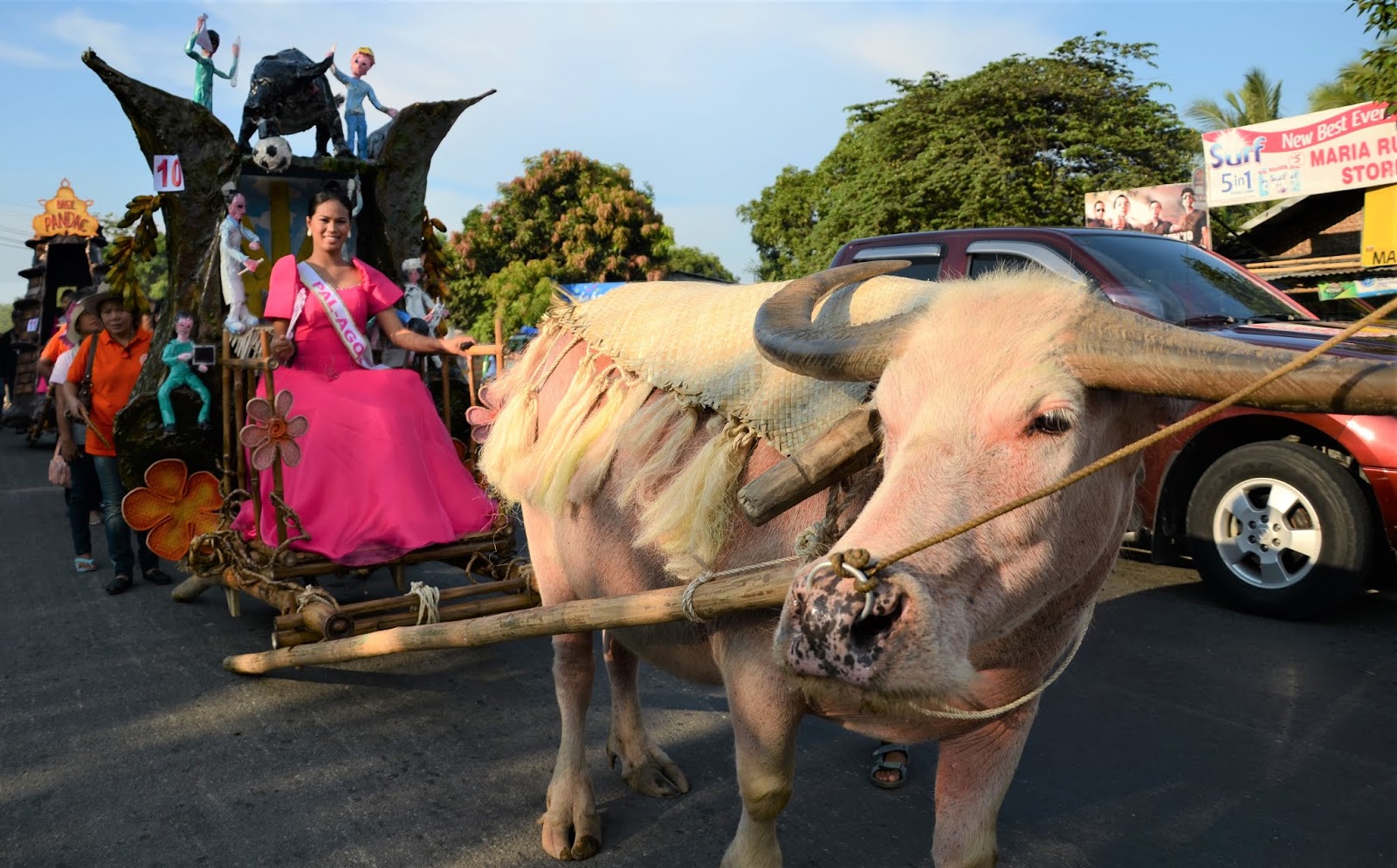mybeautifulILOILO: Celebrating Pavia’s Simple and Colorful Carabao ...