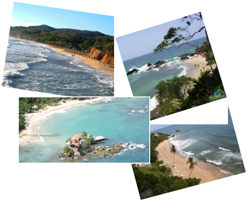 EL ESTADO MIRANDA PUEDE SER TU MEJOR OPCIÓN