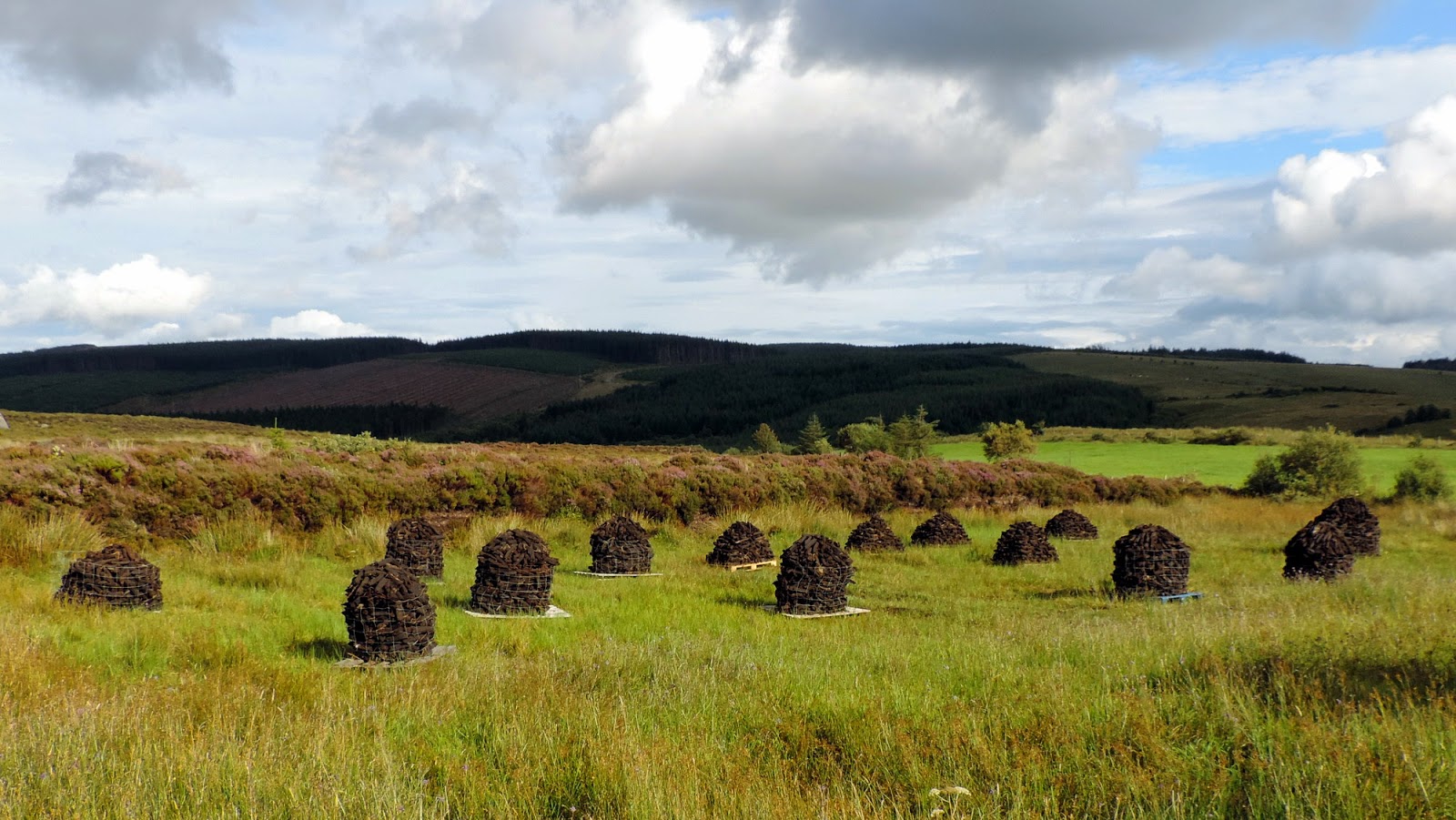 The Glebe Blog: A few days in Ireland - August 2014 - Part 2 of 2