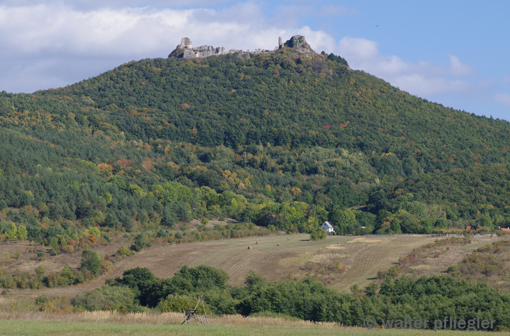 Nature photos from an Amateur Naturalist: Zemplén Mountains, Hungary ...