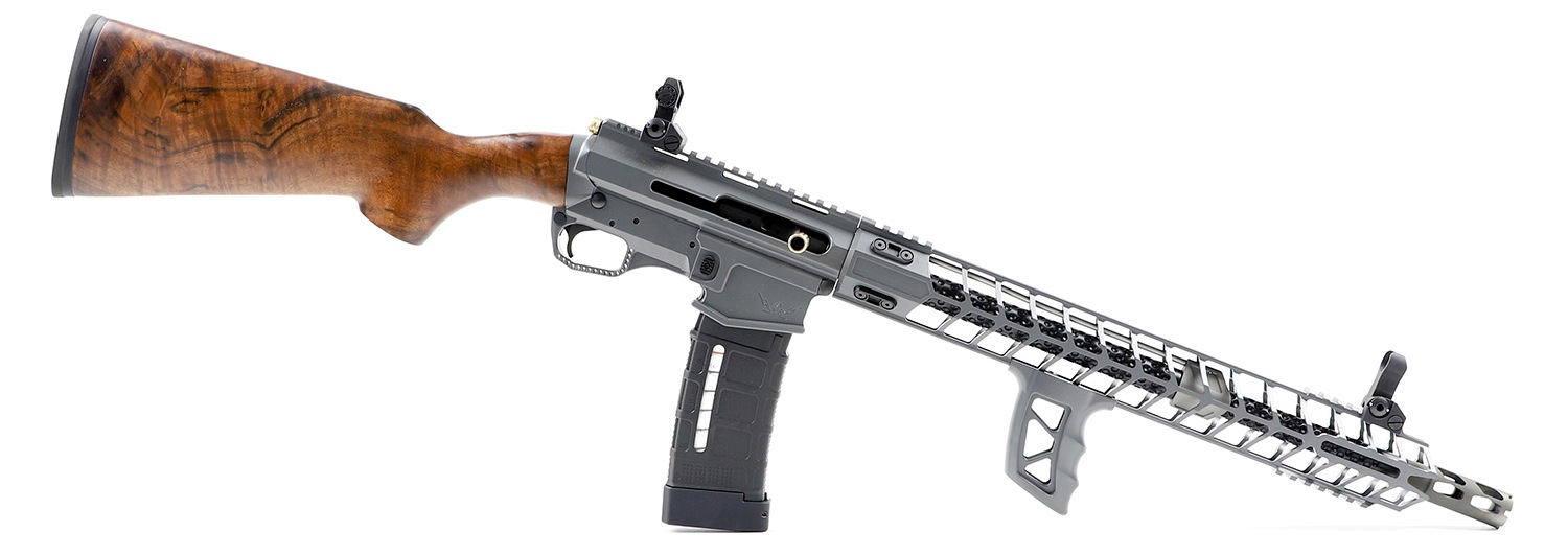 狩猟メモ: カリフォルニア規制対応のAR