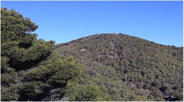 MEDIO NATURAL UN ESPACIO COMPARTIDO: Unos montes para una ciudad