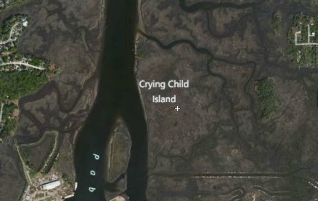 Report from the Florida Zone: Crying Child Island