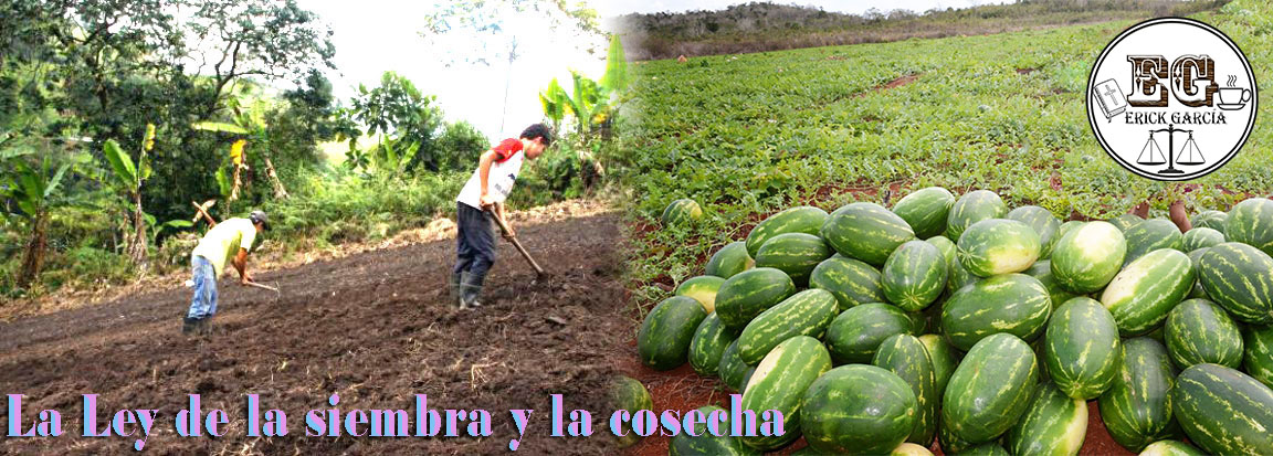 La Ley de la siembra y la cosecha