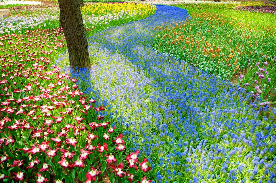 HOME & GARDEN: Le Parc Hitachi Seaside au Japon