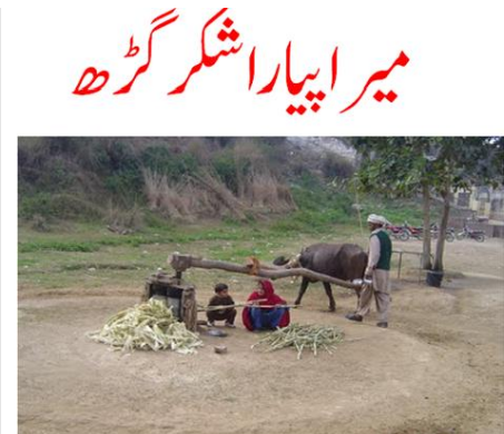 The Amazing Photo For Shakargarh | Amazing Fun