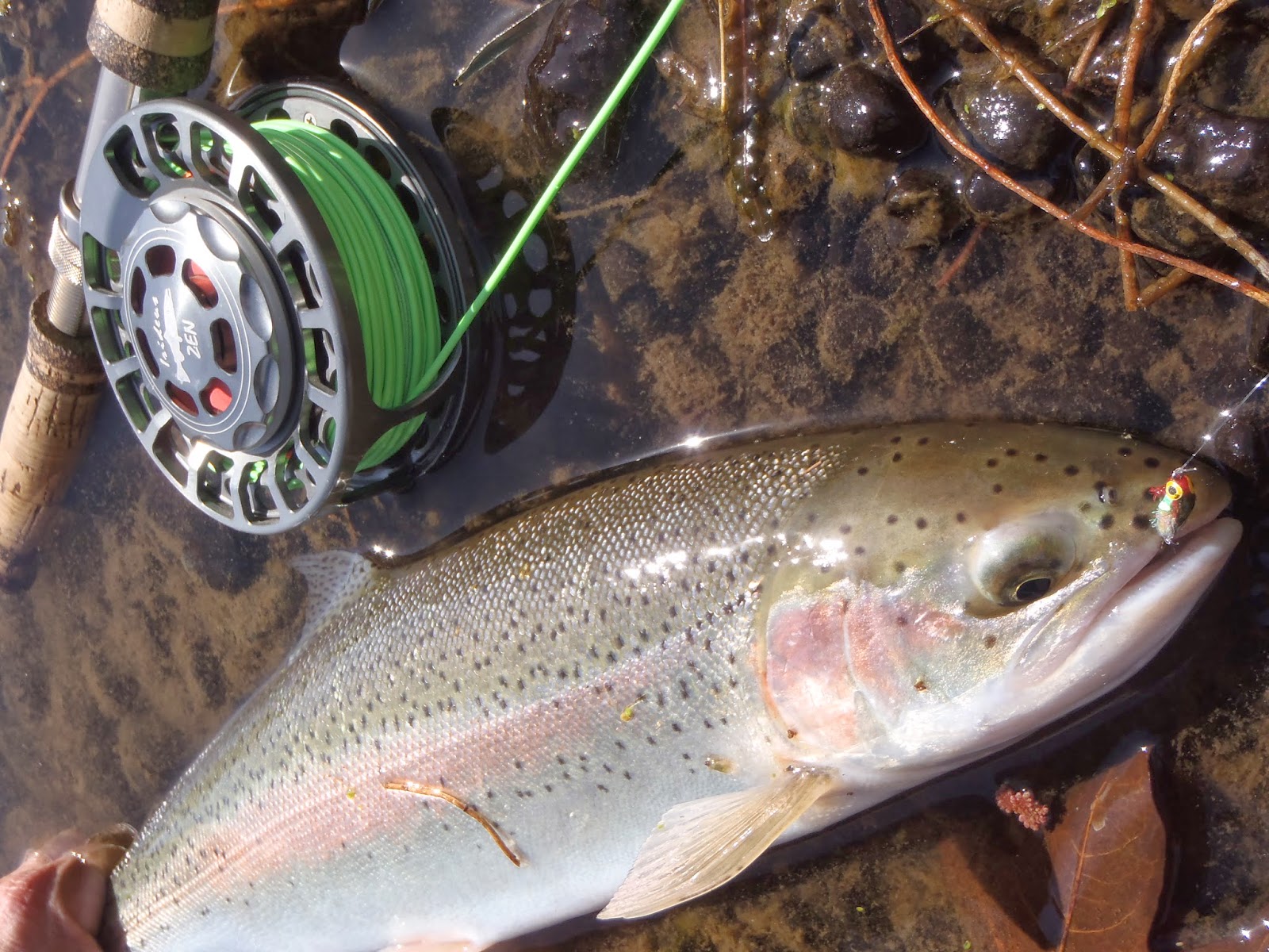 Irideus Fly Fishing Products: As the spawning steelhead are doing there ...