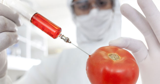 Biología y Geología: Organismo Transgénicos.