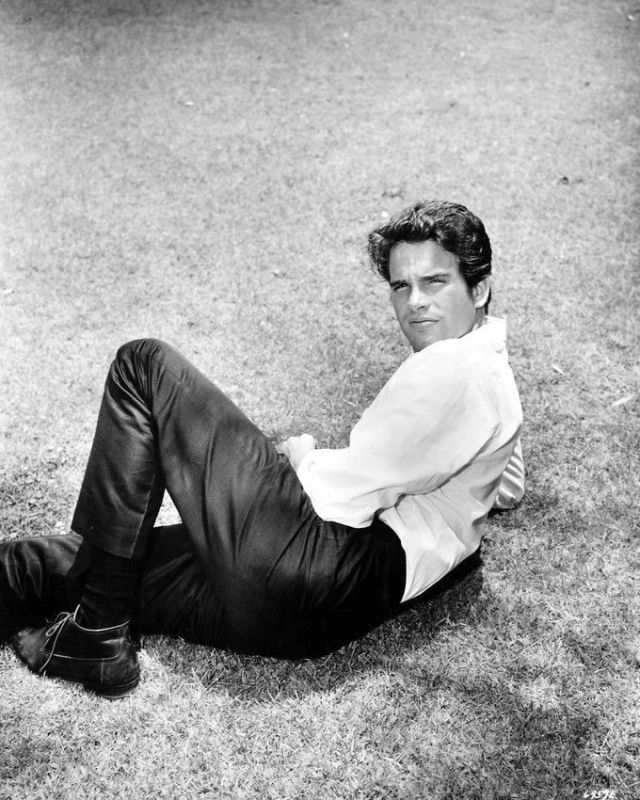 33 Gorgeous Photos of Warren Beatty in the 1950s and 1960s ~ Vintage ...
