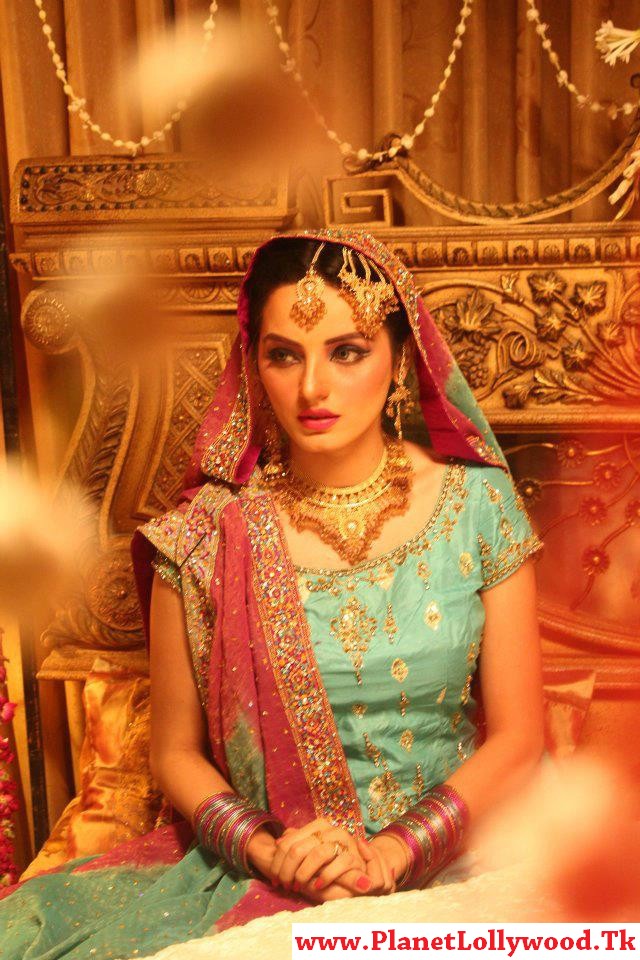 Planet Lollywood Sadia Khan Hot And Sizzling Beauty Of Pakistan