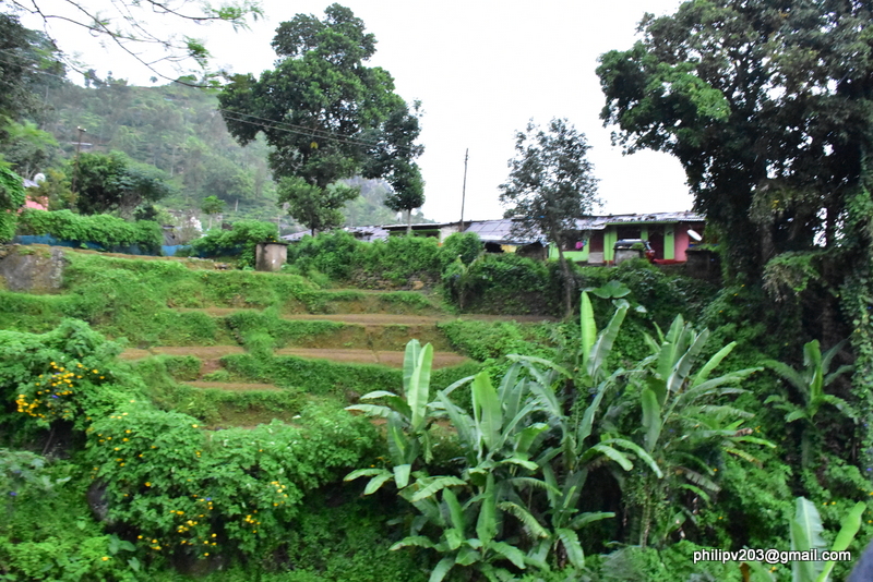 Images of Sri Lanka on blogspot.com: Sights on a tea estate, Walapane ...
