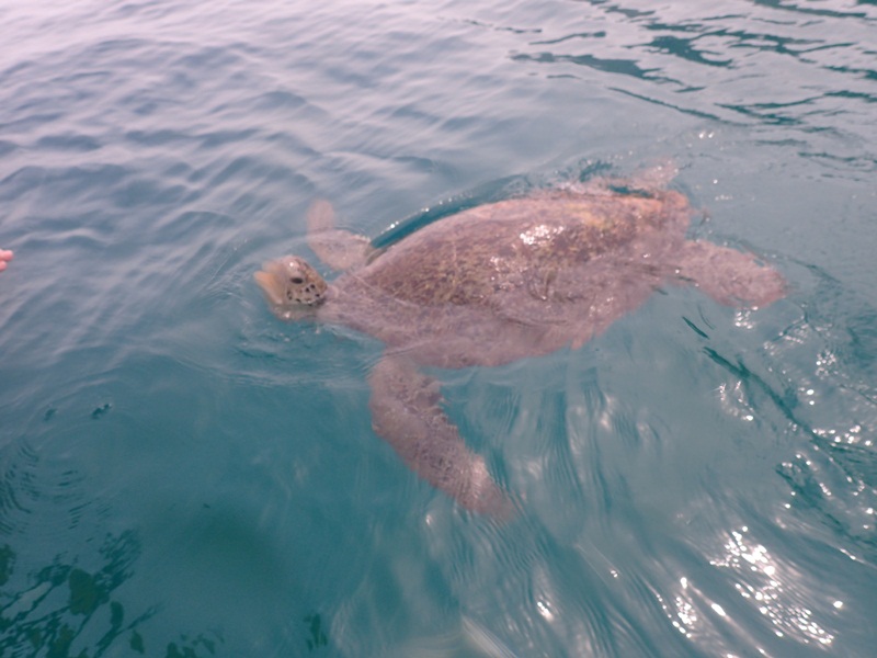 TRAVELOG: PULAU PERHENTIAN TERENGGANU : Menyaksikan Pulau yang Indah ...