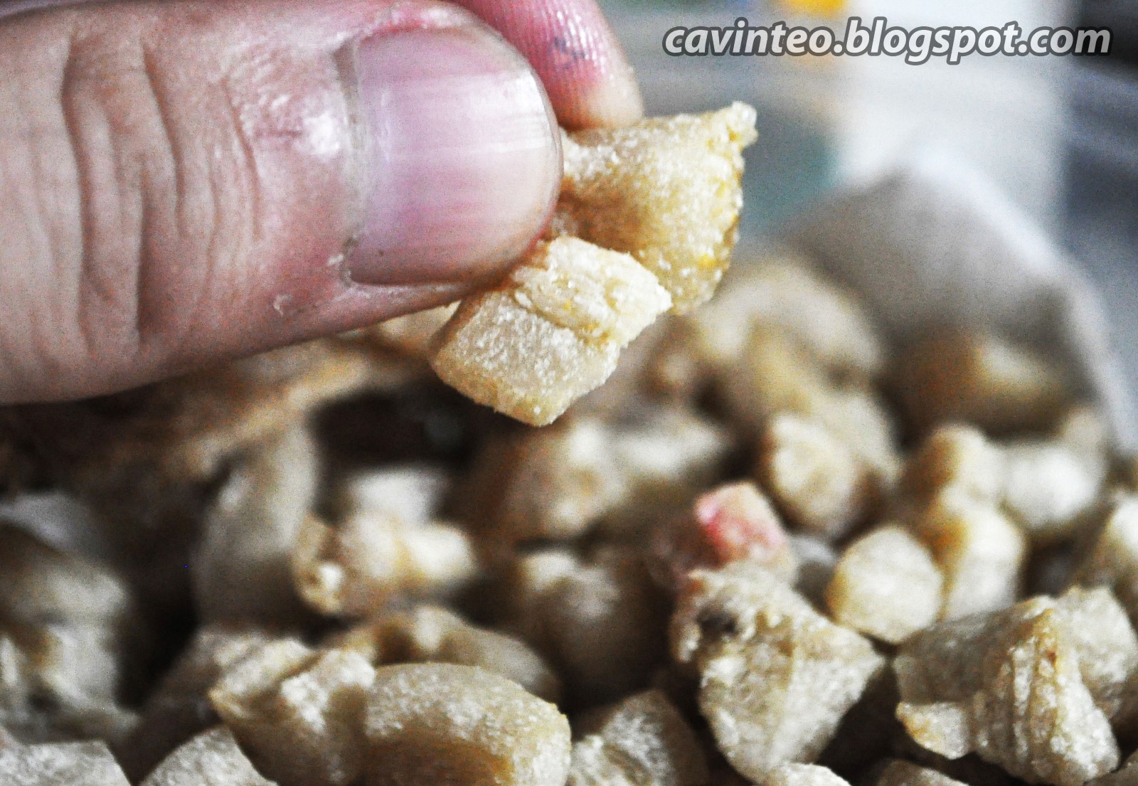 Entree Kibbles: Homemade Deep Fried Crispy Pork Lard (猪油渣) - The Best ...