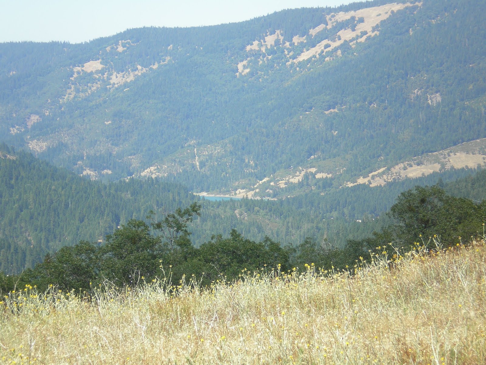 The Road Genealogist: Ruth Lake to Laytonville to Cleone, CA