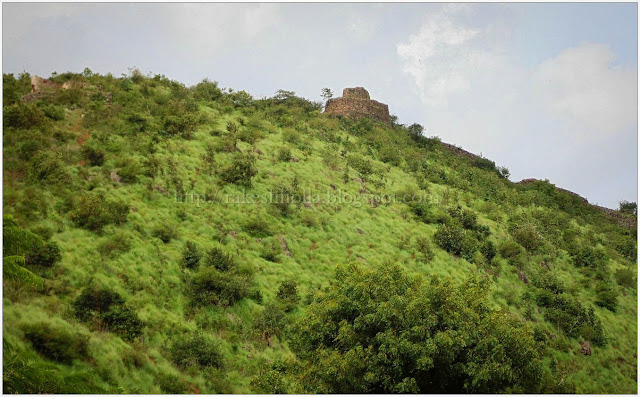 The Voice of Greenery - Trekking and Travelling in Western Ghats ...