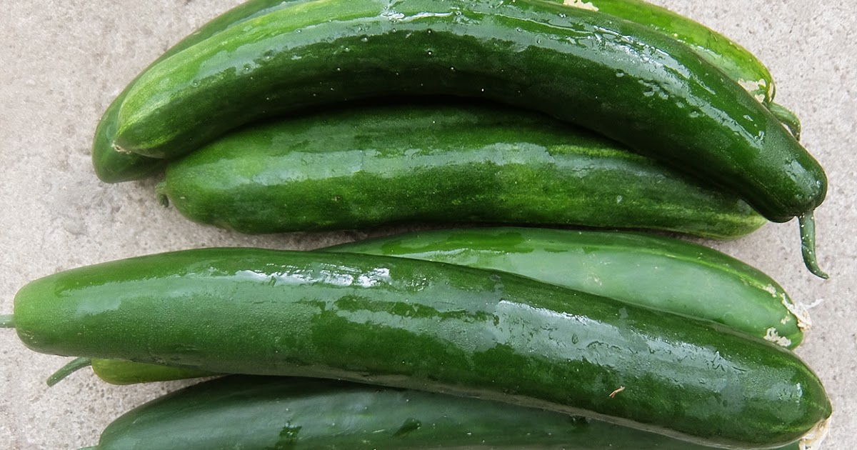 MustardPlaster: Cucumber Numbers