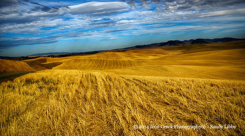 Iron Creek Photography®: The Palouse