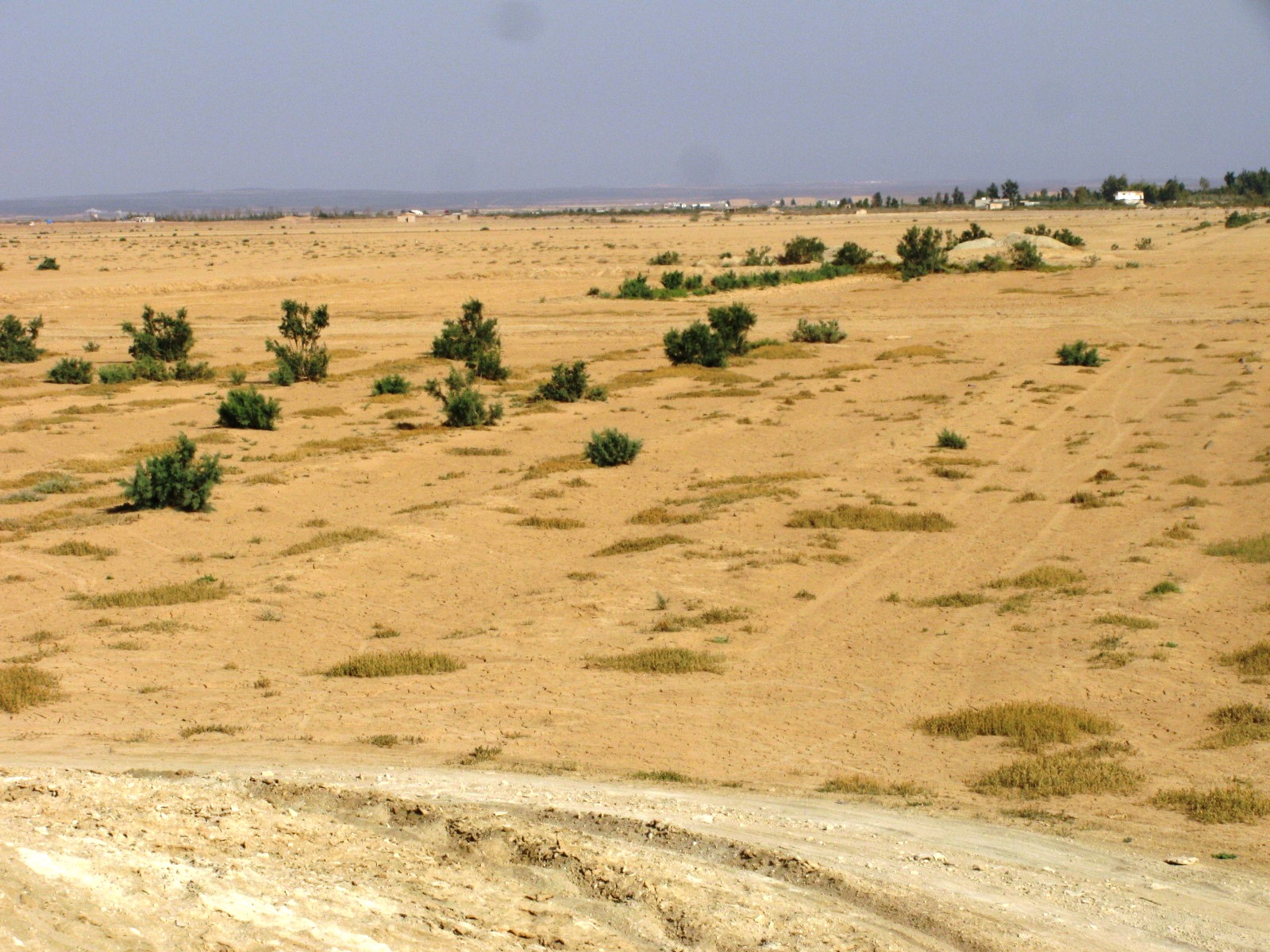 Hima Mesopotamia: Travels in Jordan 2013: Pictures from Azraq wetlands