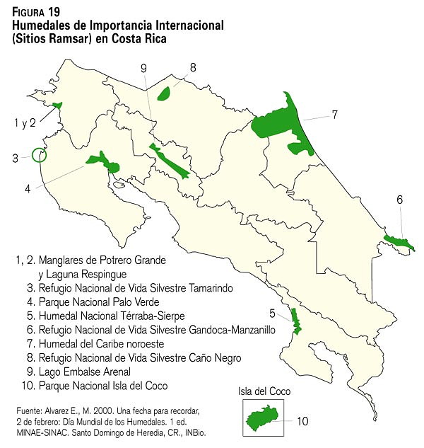 Manglar de Puntarenas | Explore Costa Rica