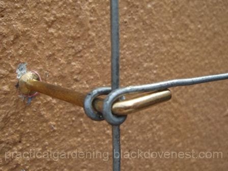 Practical Gardening: Assemble the Trellis Frame - Part 2