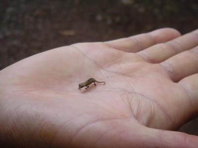 Smallest Things in the World ~ DAM AMAZINg