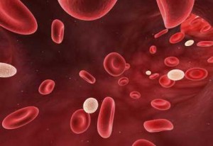 Fungsi Keping dan Jaringan Darah - Asep Respati