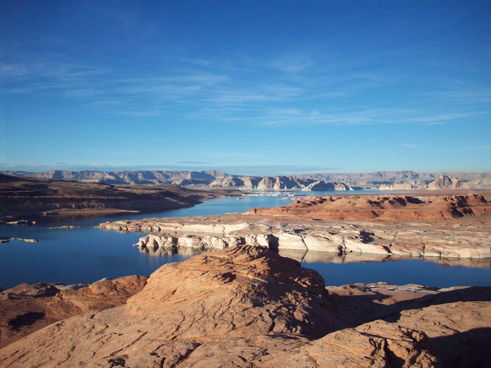 Welcome To Page America