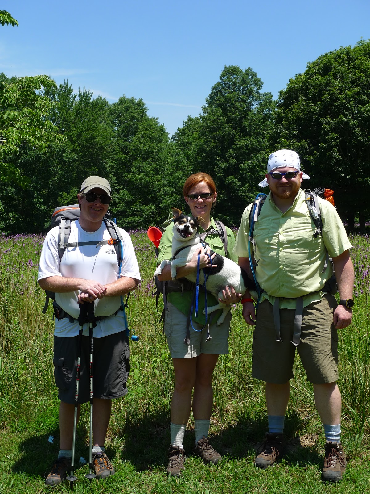 Grown Up Girl Scout: Hiking South Cumberland - Savage Gulf