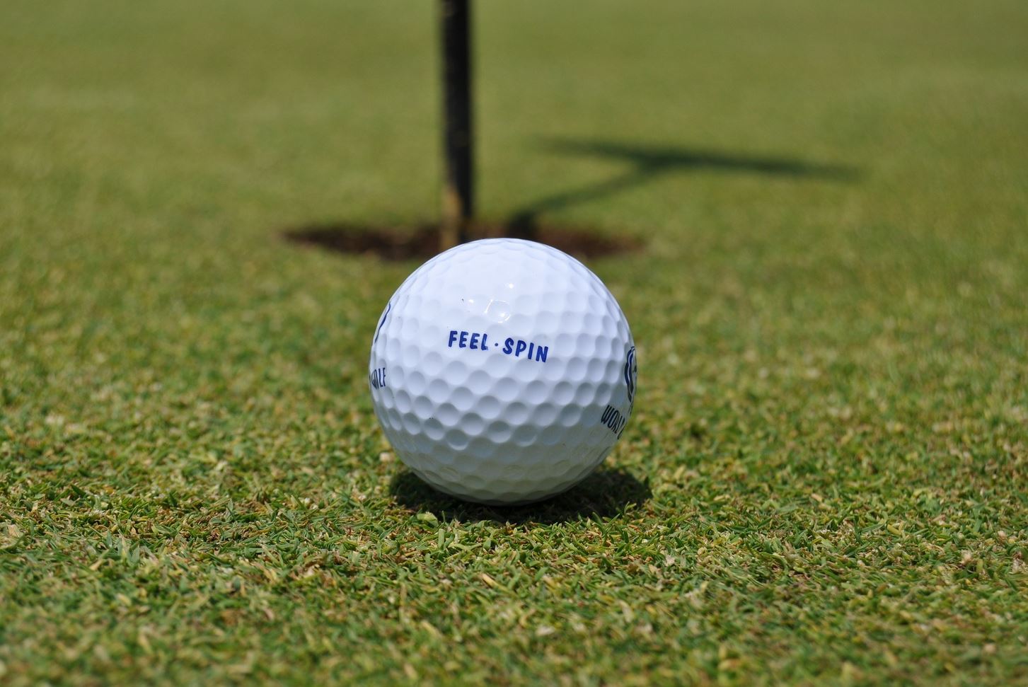 Ilmaisia kuvituskuvia: Pallot