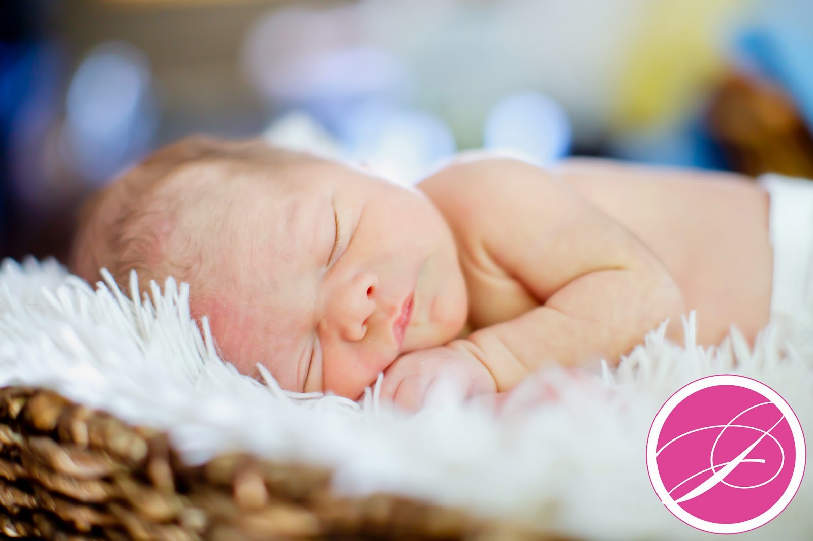 Julie Surette Photography: Baby Mason - Newborn Shoot