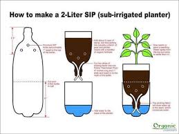 Amazing Ideas : How to make a 2-liter SIP (sub-irrigated planter)