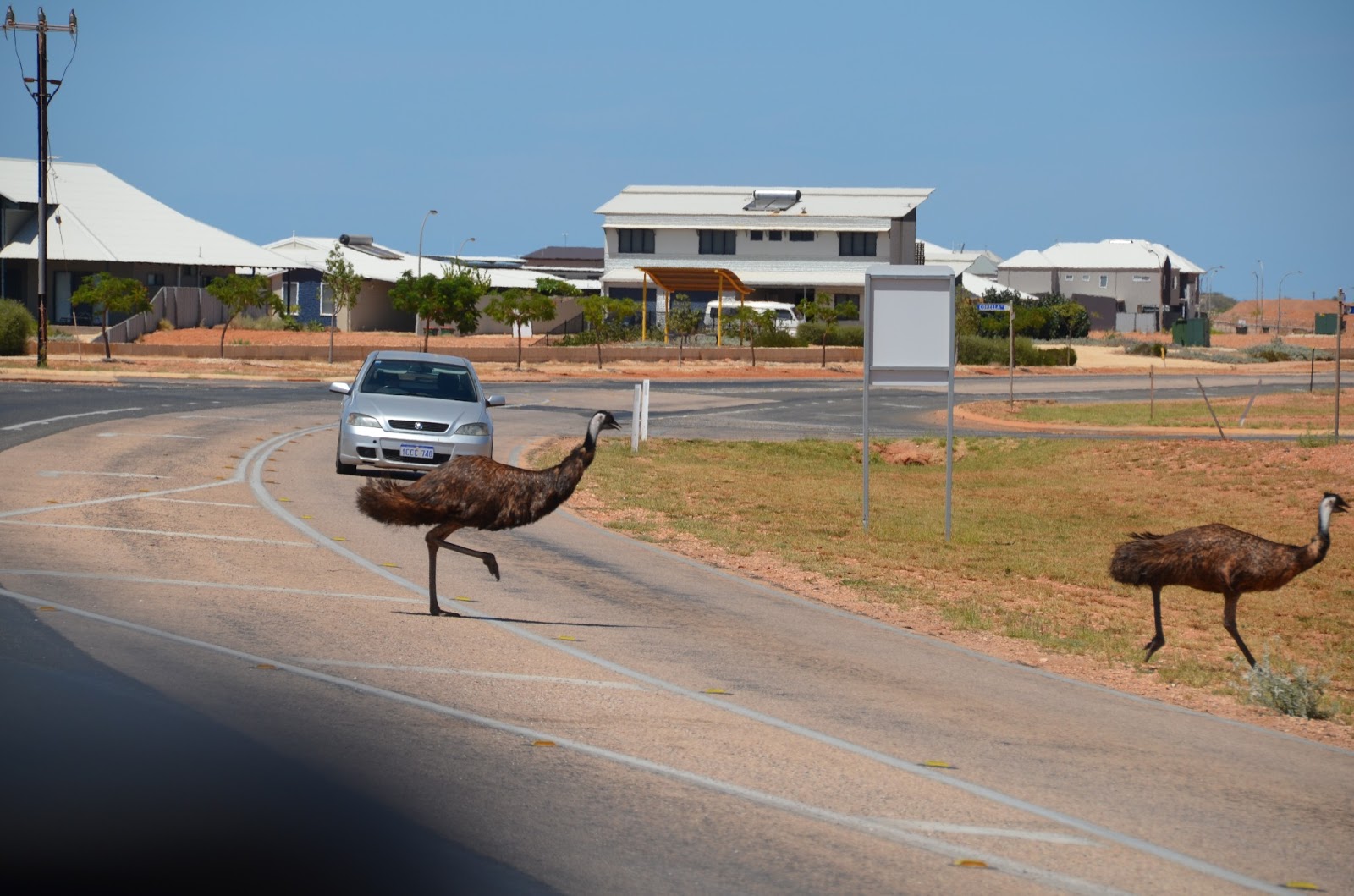 62 days and counting