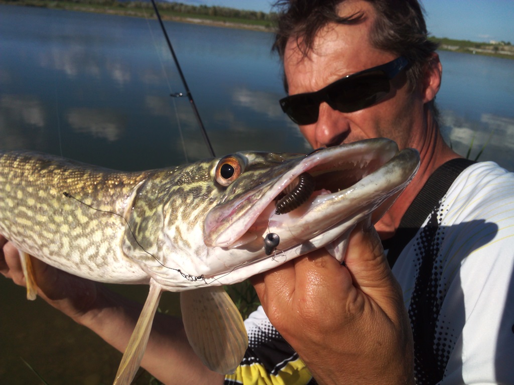 Croatia Fishing: Sve što ste htjeli znati o štuki