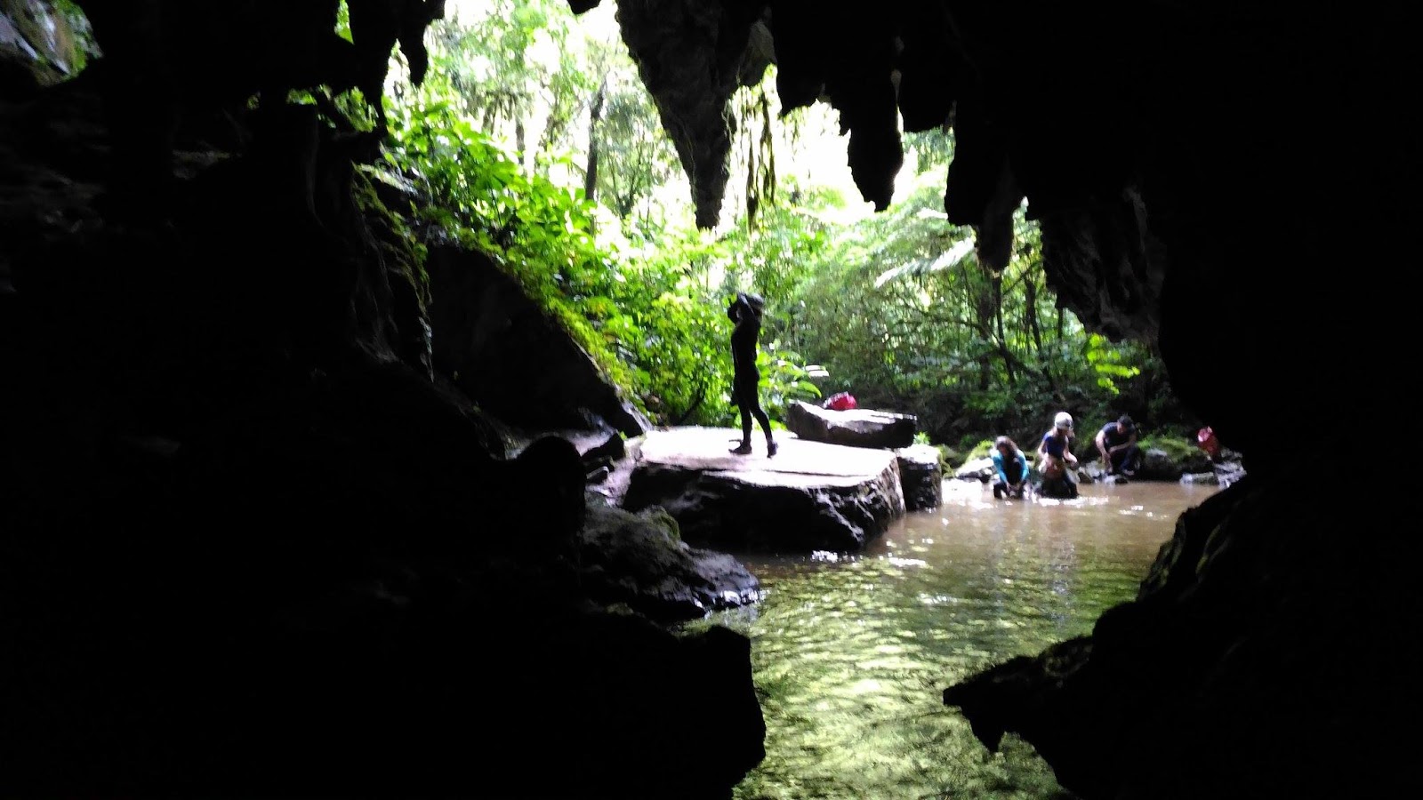 PETAR - Parque Estadual Turístico do Alto Ribeira - Duo Pelo Mundo
