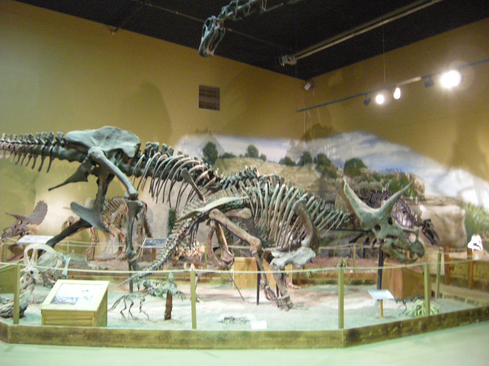 Kitchens Are Monkey Business: April 25, 2012. Thermopolis, Wyoming. The ...