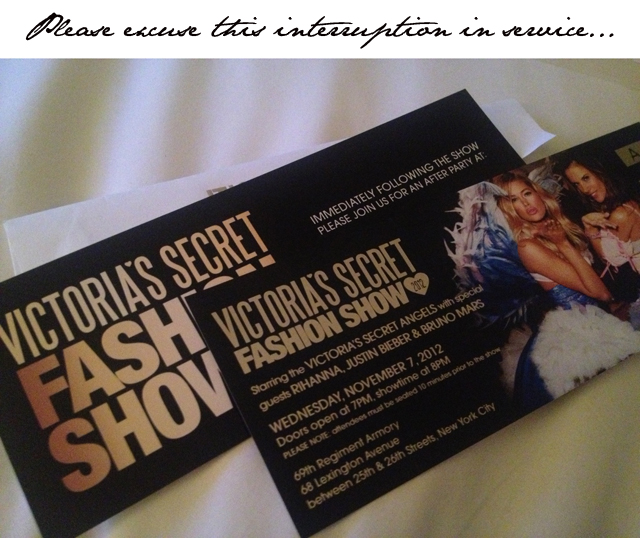 Be Right Back: Interviewing Victoria's Secret Angels - Emily Jane Johnston