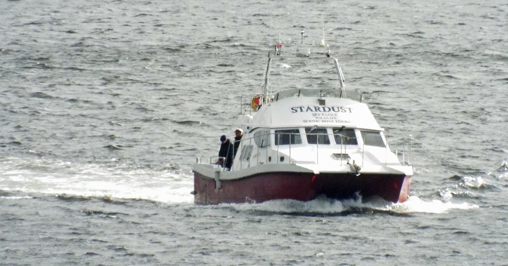 Clyde Naval Gazing: Stardust