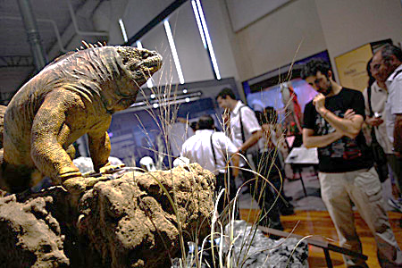 Sthefany Aviles 518: Reseña; Exposición de Darwin 2014