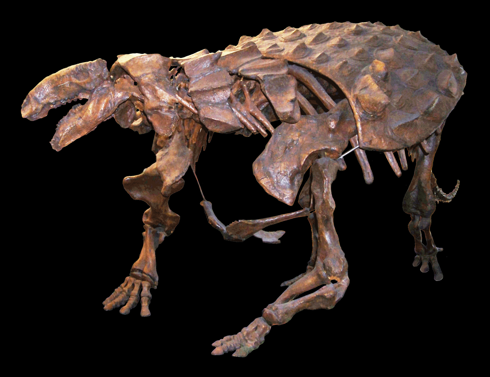 The Expeditioner's Discovery Guild: A little bit of Everything: Museums ...