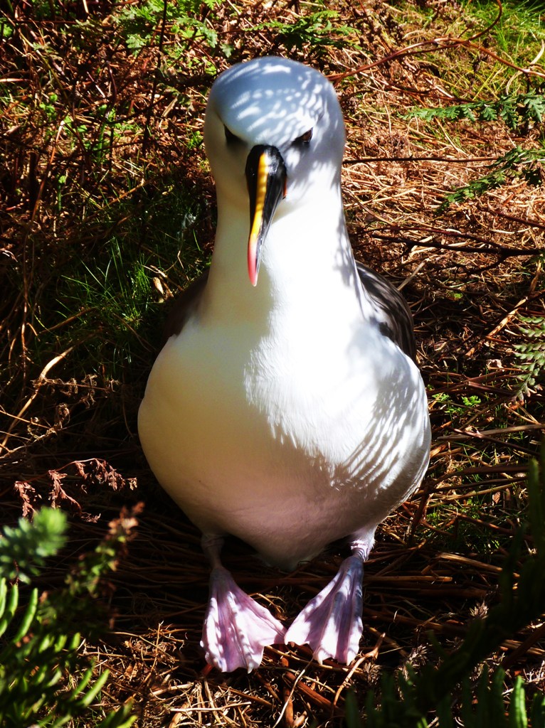 2000 Miles from Anywhere...