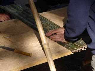 IPC TAIPAL - INSTITUTO DE PESQUISAS E CRIAÇÃO TAIPAL