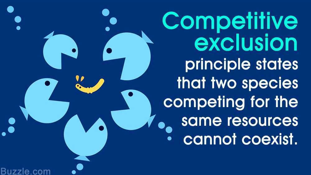 Competitive exclusion principle