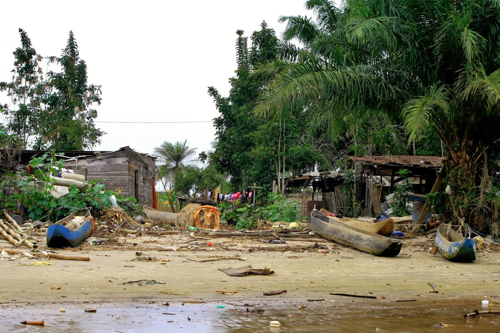 I Dreamed of Africa: A Day on the Kouilou River